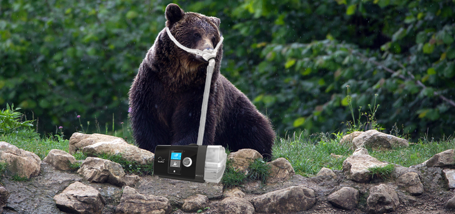 7 Animals with Sleep Apnea - Easy Breathe